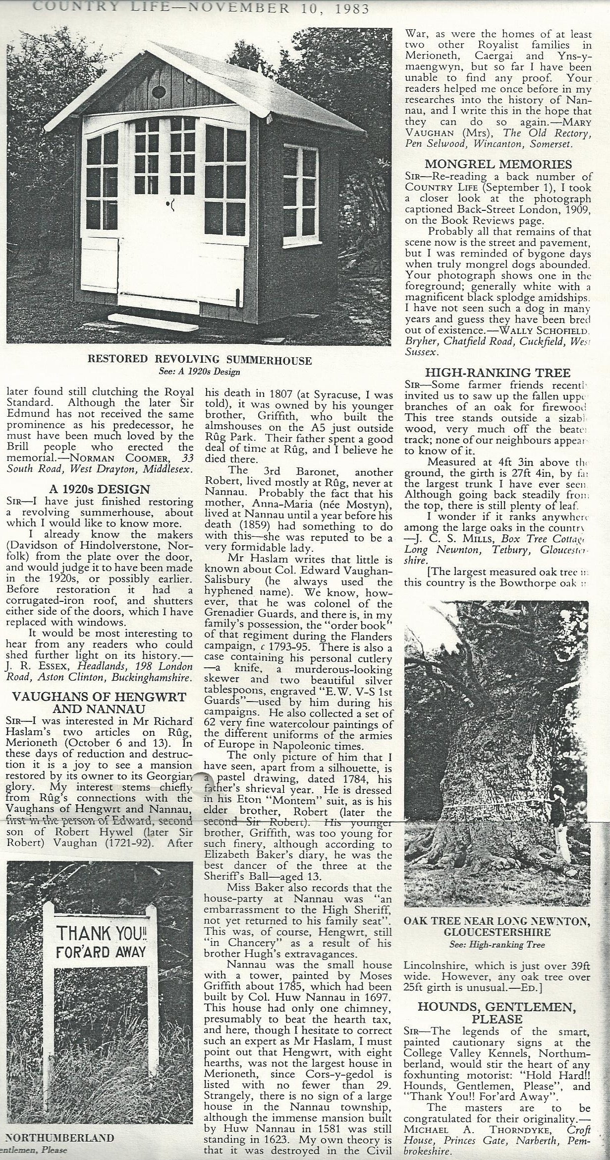 NANNEY OR YANCEY HISTORY Compile